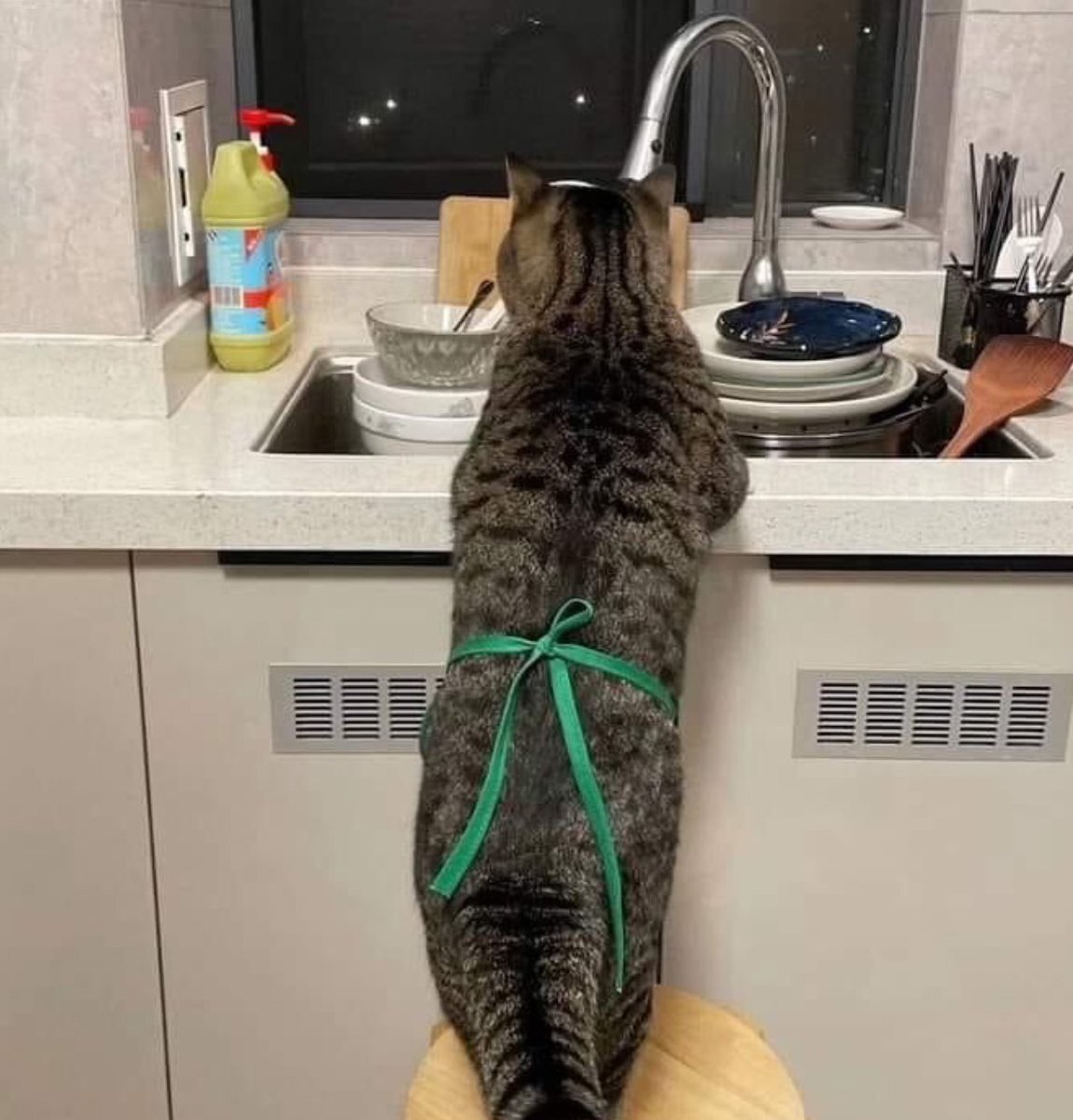 人気ポスト(@nya_602) - Yahoo!リアルタイム検索