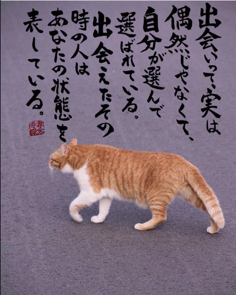 人気ポスト(@yabumoto610) - Yahoo!リアルタイム検索