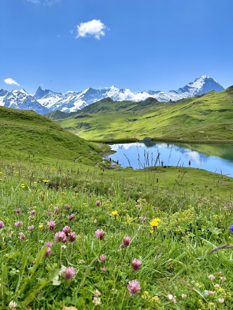 人気ポスト(@Masami__travel) - Yahoo!リアルタイム検索