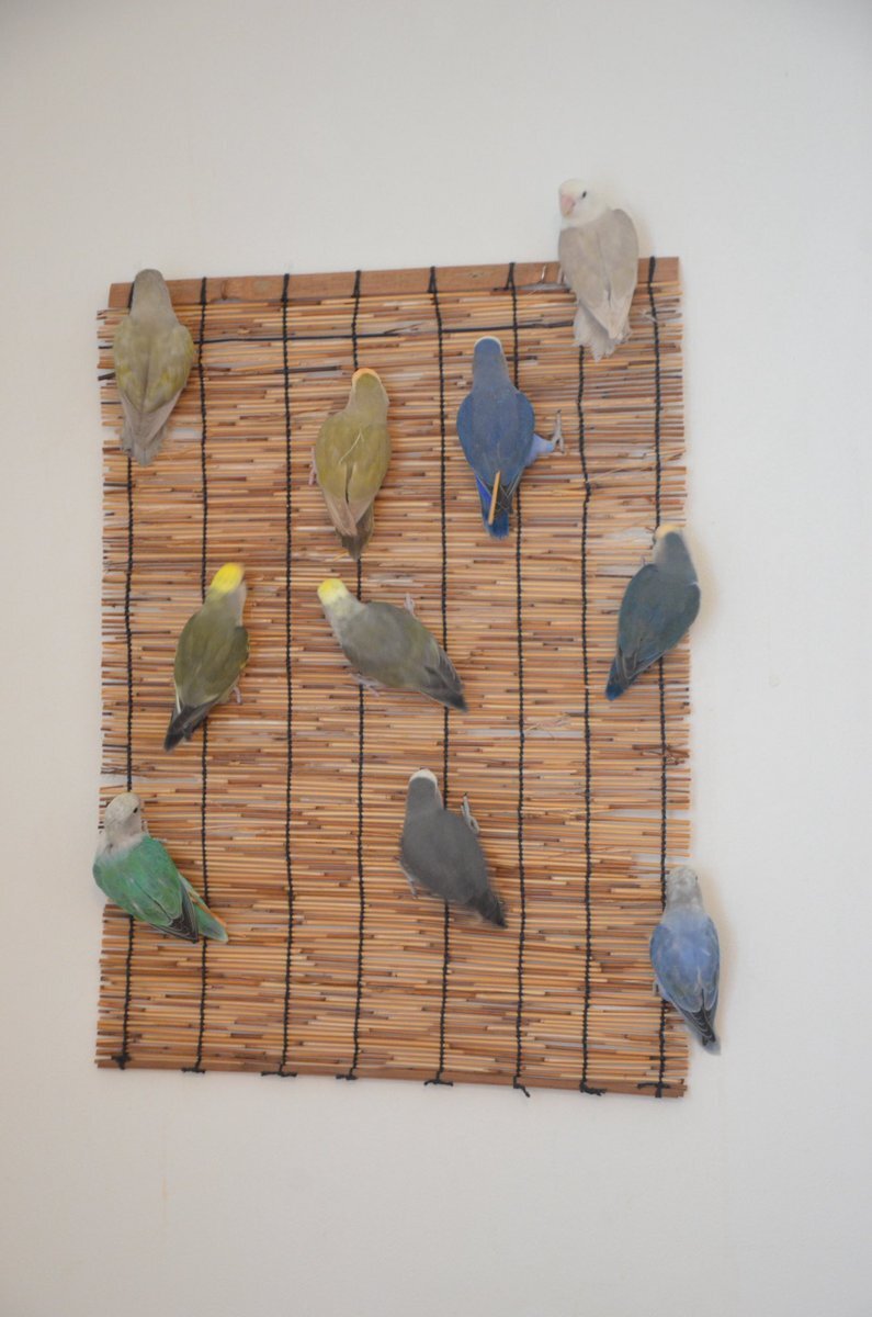 人気ポスト(@tomimomen) - Yahoo!リアルタイム検索