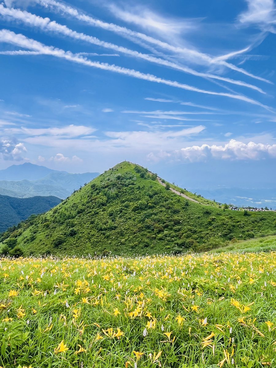 人気ポスト(@hirashin_3) - Yahoo!リアルタイム検索