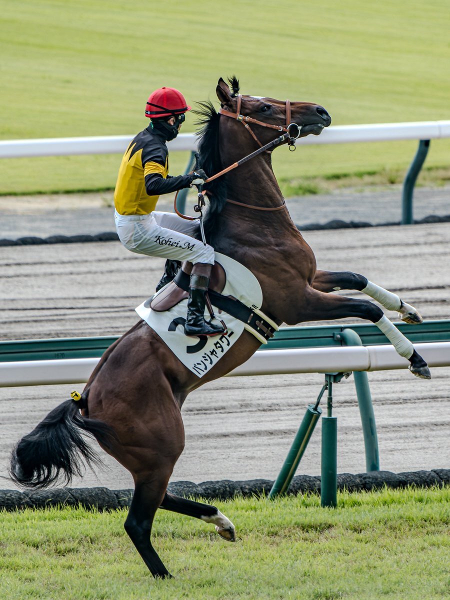 人気ポスト(@mosan_tk) - Yahoo!リアルタイム検索