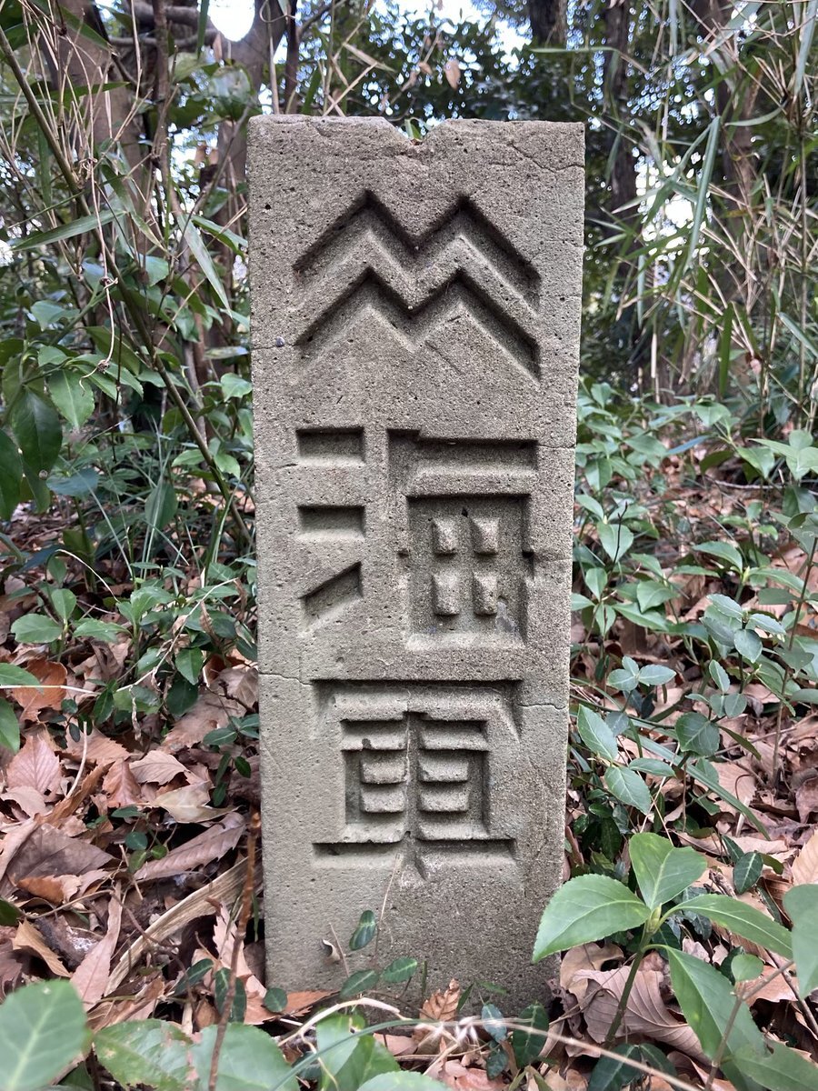 人気ポスト(@shark_ishi) - Yahoo!リアルタイム検索