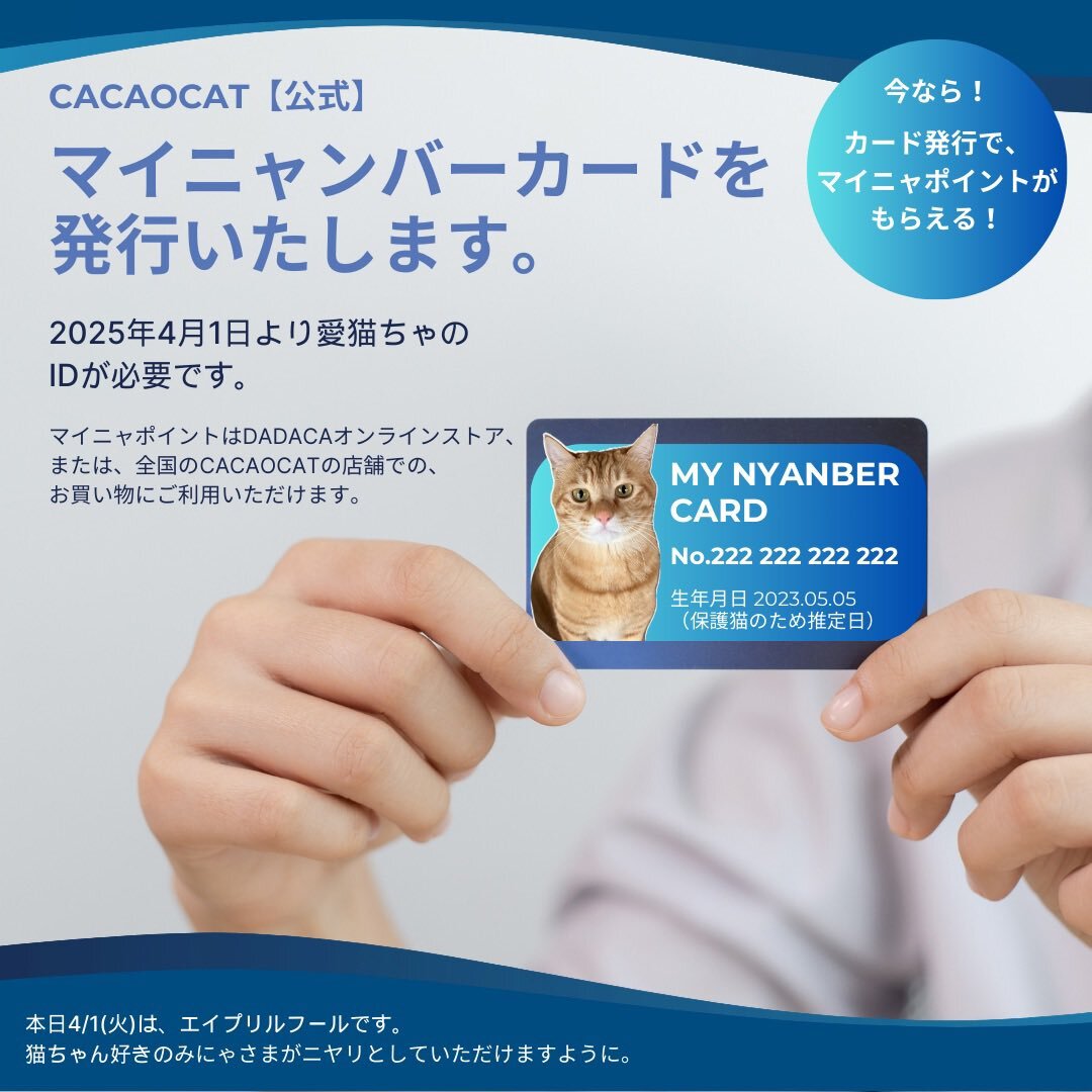 人気ポスト(@CACAOCAT_) - Yahoo!リアルタイム検索