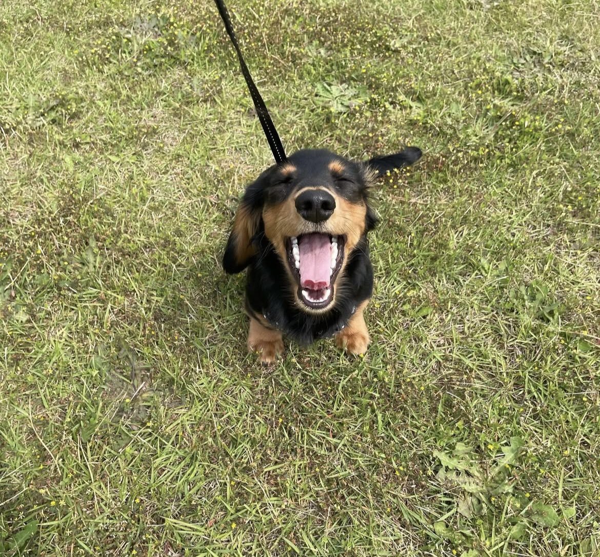 人気ポスト(@roiroi_reon02) - Yahoo!リアルタイム検索