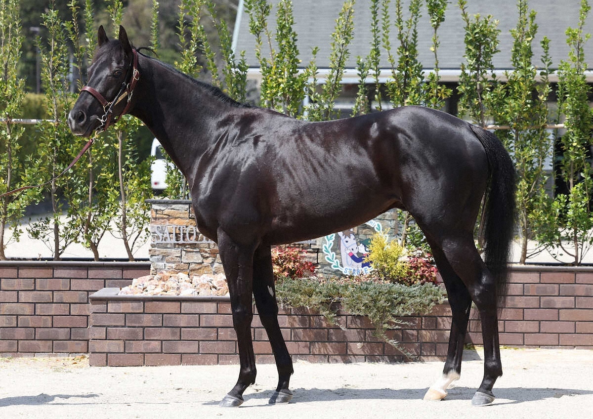 人気ポスト(@winkeiba_dm) - Yahoo!リアルタイム検索