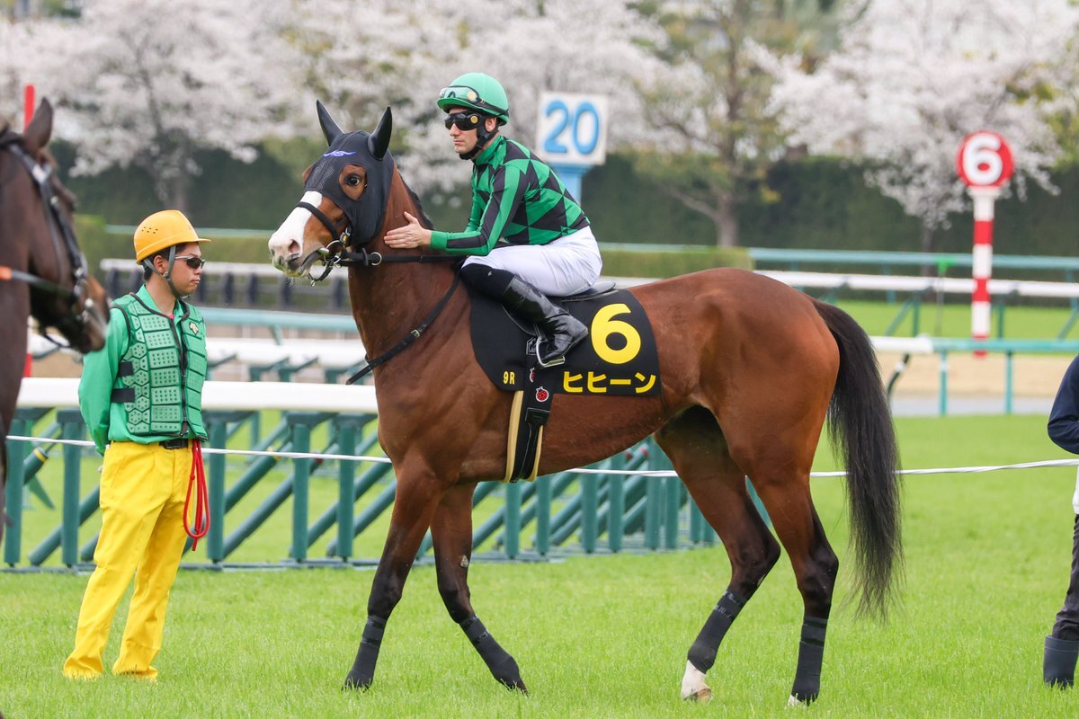 人気ポスト(@nanashi_keiba_7) - Yahoo!リアルタイム検索