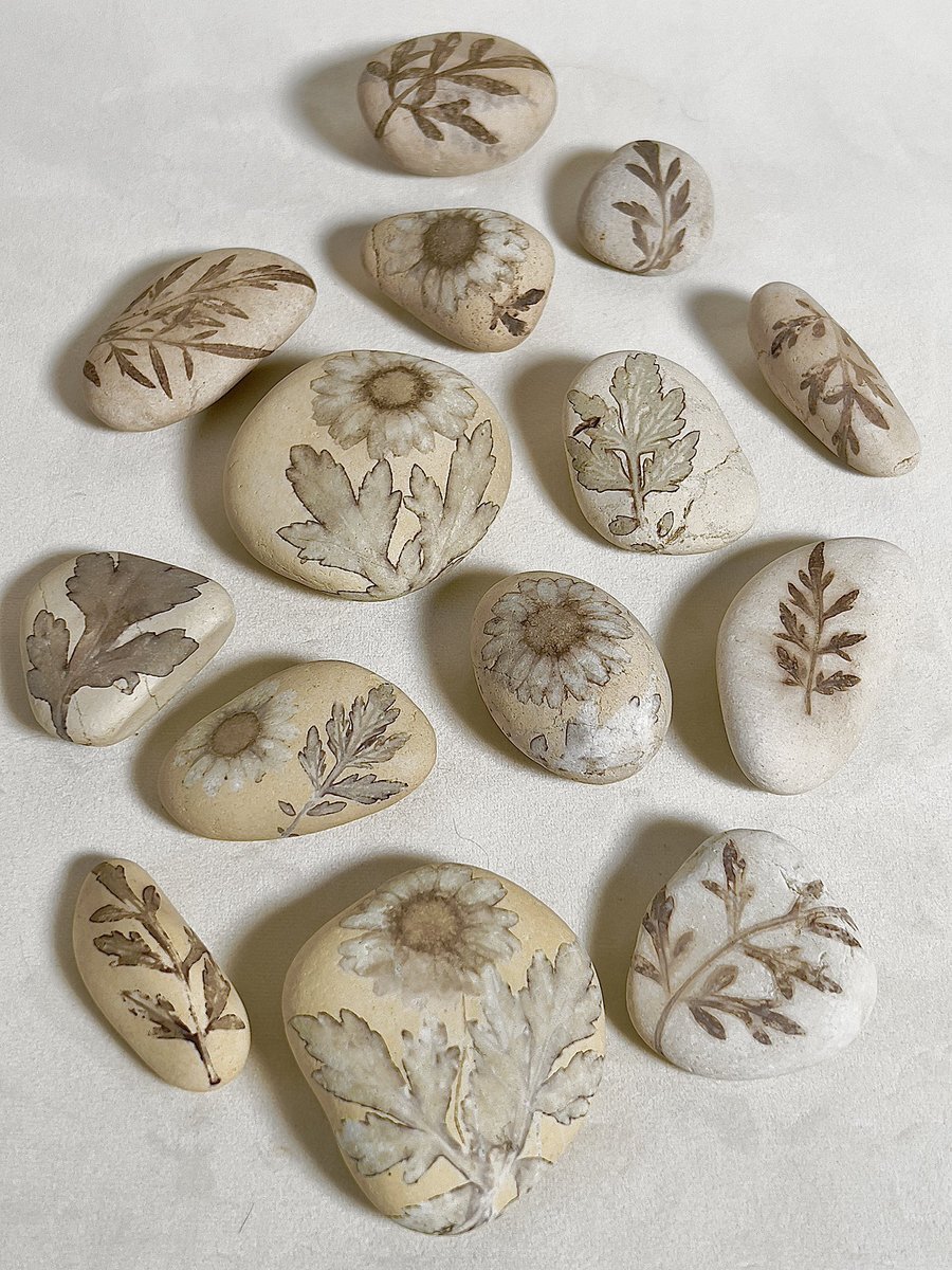 人気ポスト(@goda_nobuyo) - Yahoo!リアルタイム検索