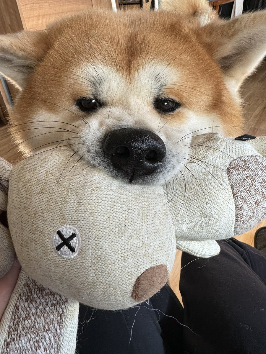 人気ポスト(@monaka_0507) - Yahoo!リアルタイム検索