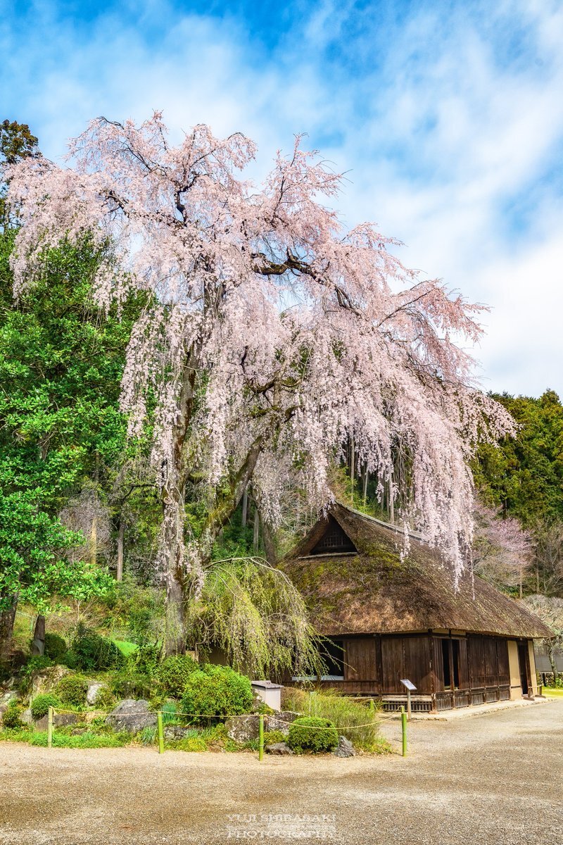 人気ポスト(@Yuji_48) - Yahoo!リアルタイム検索