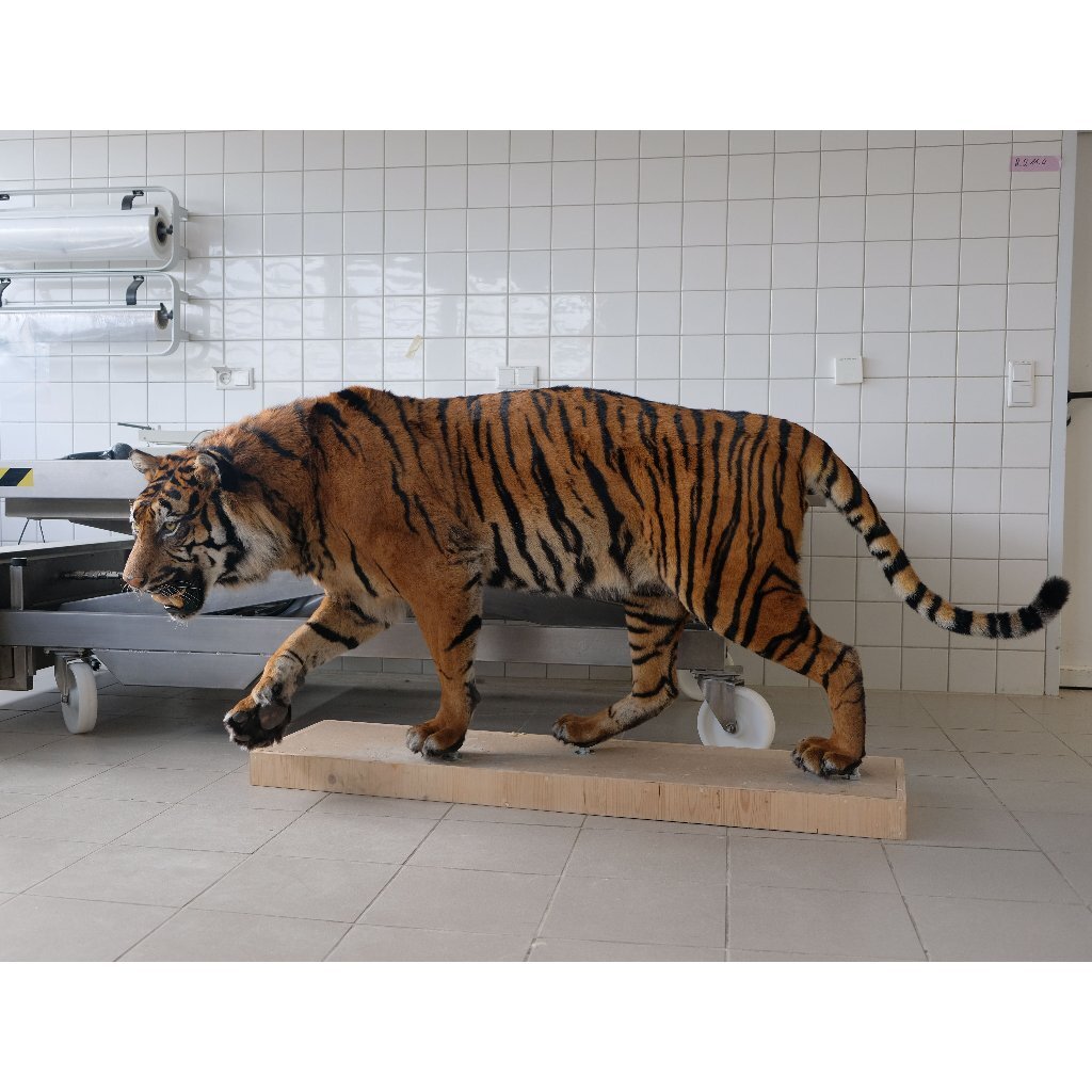 人気ポスト(@narumi_sato_) - Yahoo!リアルタイム検索