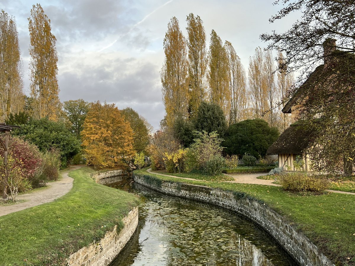 人気ポスト(@smallbear_LD) - Yahoo!リアルタイム検索