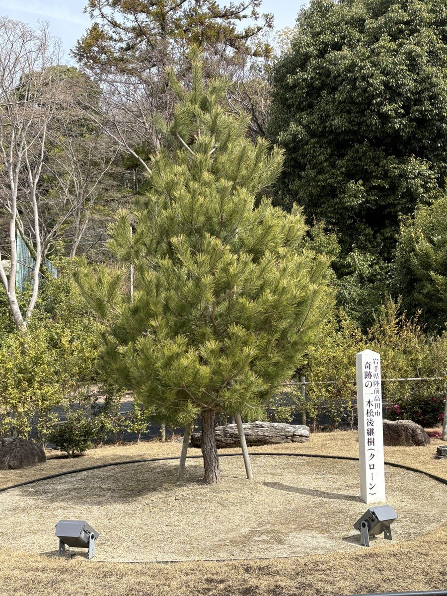 人気ポスト(@RikutakaMuse) - Yahoo!リアルタイム検索