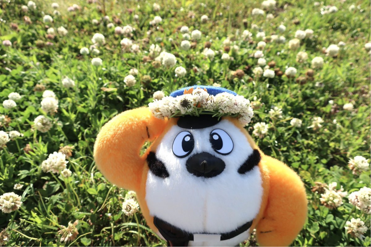 ミーポくん」のTwitter検索結果 - Yahoo!リアルタイム検索