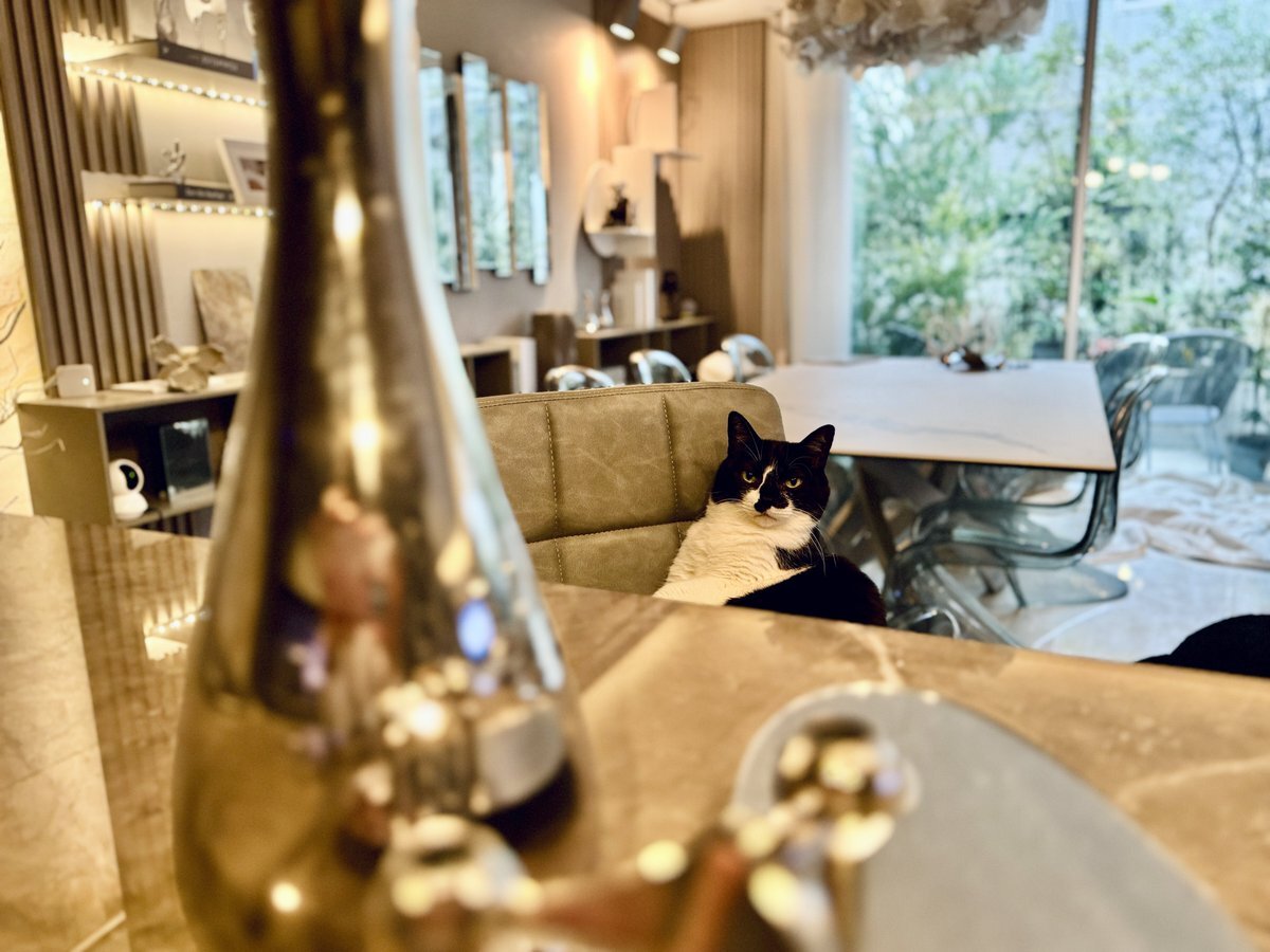 人気ポスト(@HOMEALONe_ksk) - Yahoo!リアルタイム検索