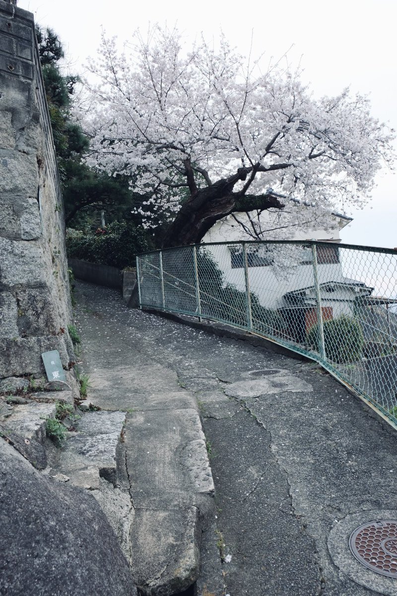 人気ポスト(@alfi_le) - Yahoo!リアルタイム検索