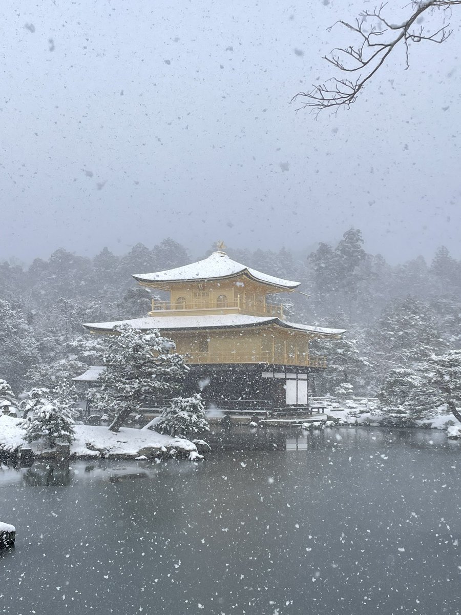 人気ポスト(@_reo_g) - Yahoo!リアルタイム検索