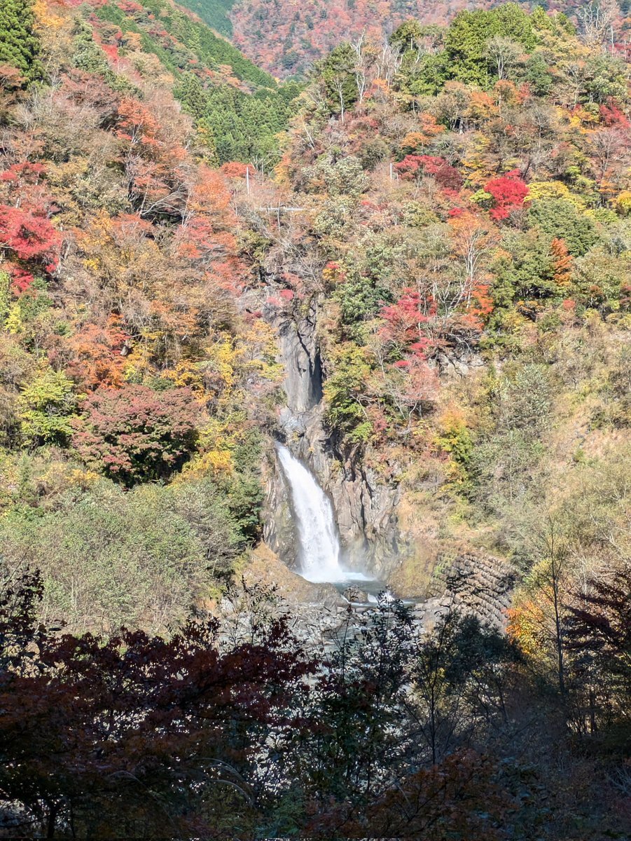 「梅 見ごろ」のX（旧Twitter）検索結果 - Yahoo!リアルタイム検索