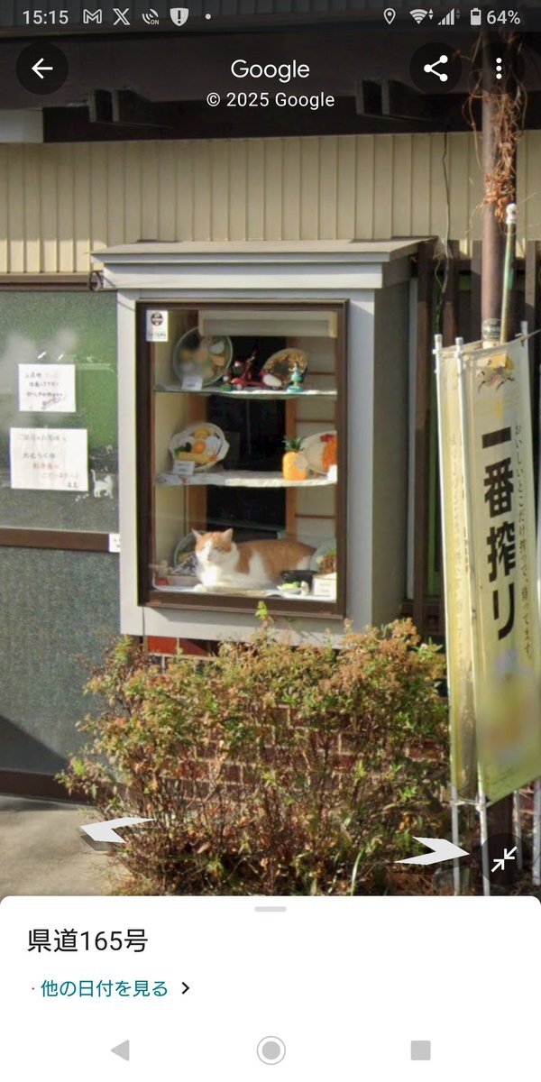 人気ポスト(@Rieko_0112) - Yahoo!リアルタイム検索