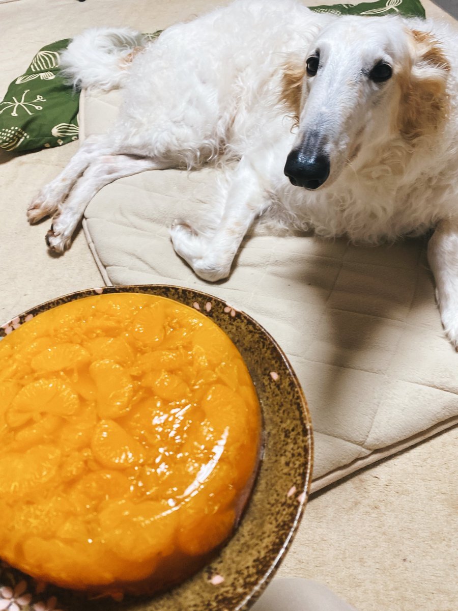 人気ポスト(@ganbor_zoi) - Yahoo!リアルタイム検索