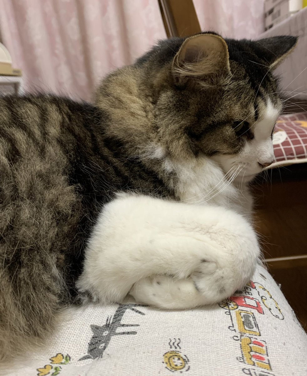 人気ポスト(@HOMEALONe_ksk) - Yahoo!リアルタイム検索