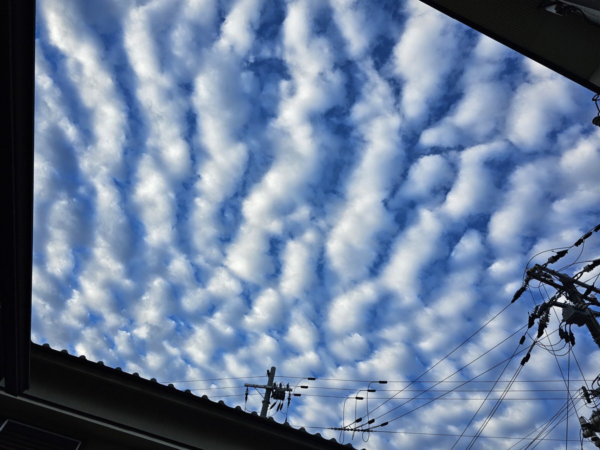 人気ポスト(@reissuerecords) - Yahoo!リアルタイム検索