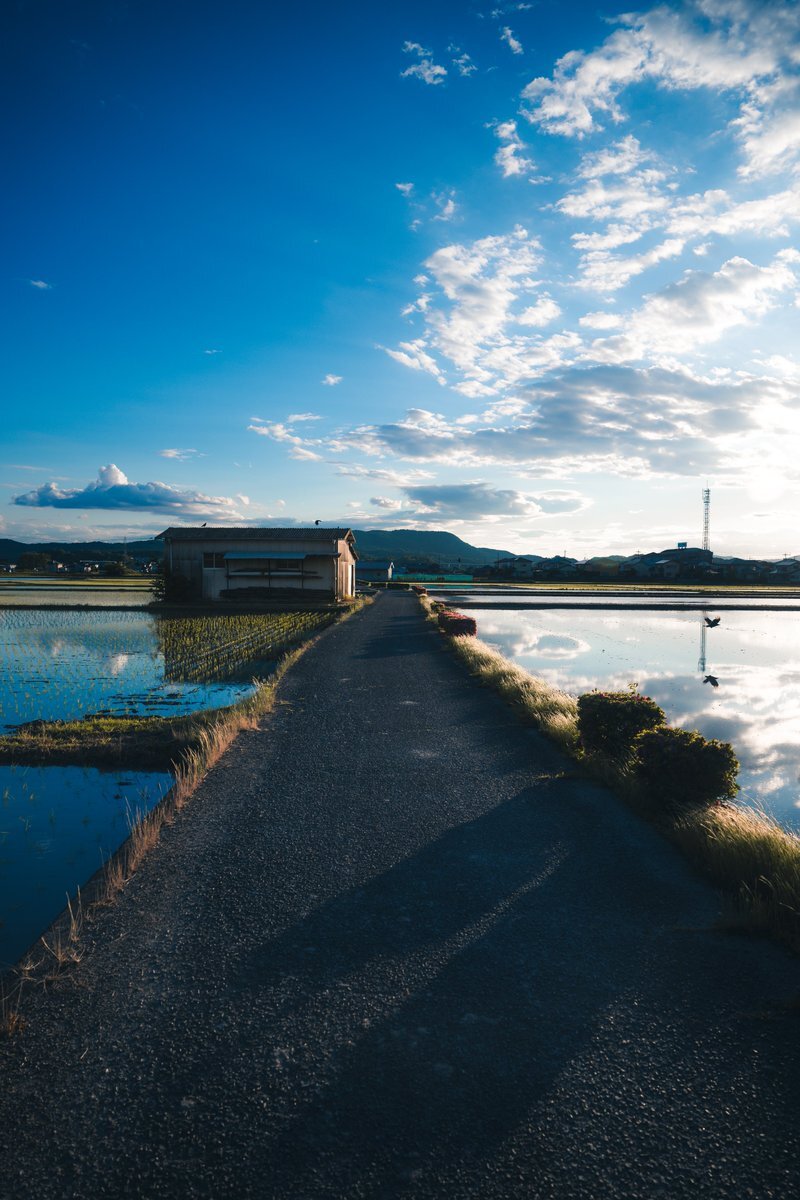 人気ポスト(@da_emi_) - Yahoo!リアルタイム検索