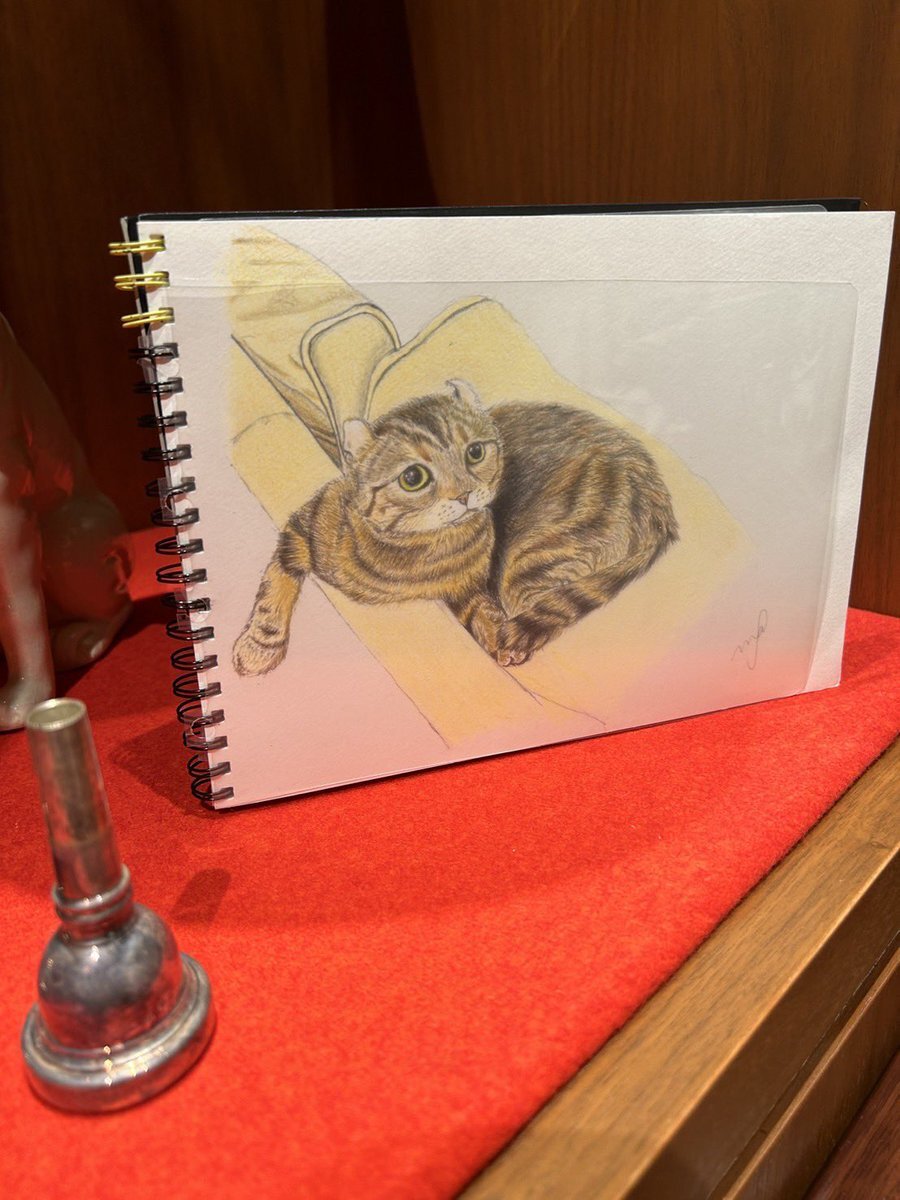 人気ポスト(@20thCentury_SIN) - Yahoo!リアルタイム検索