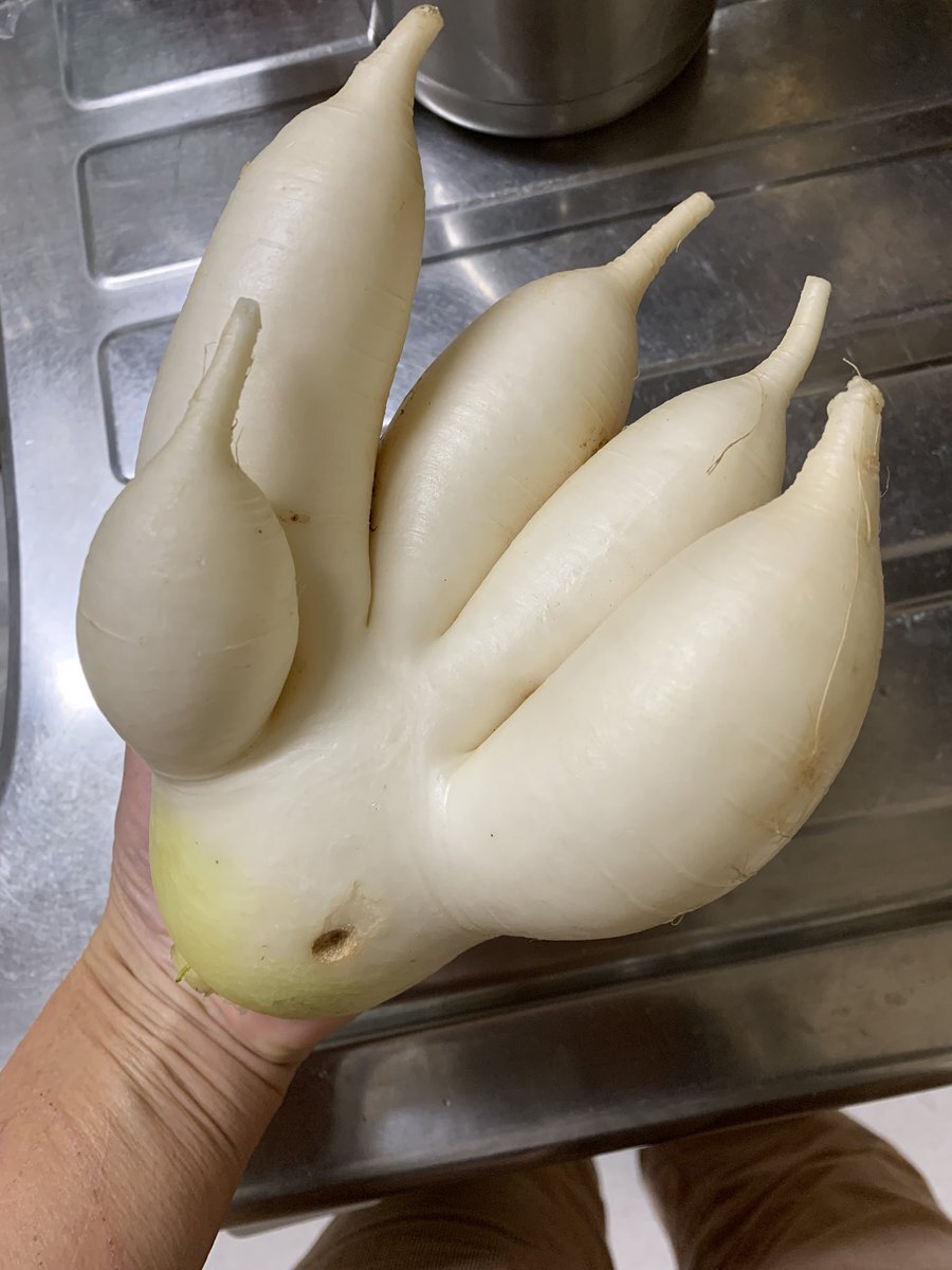 人気ポスト(@sokonron) - Yahoo!リアルタイム検索