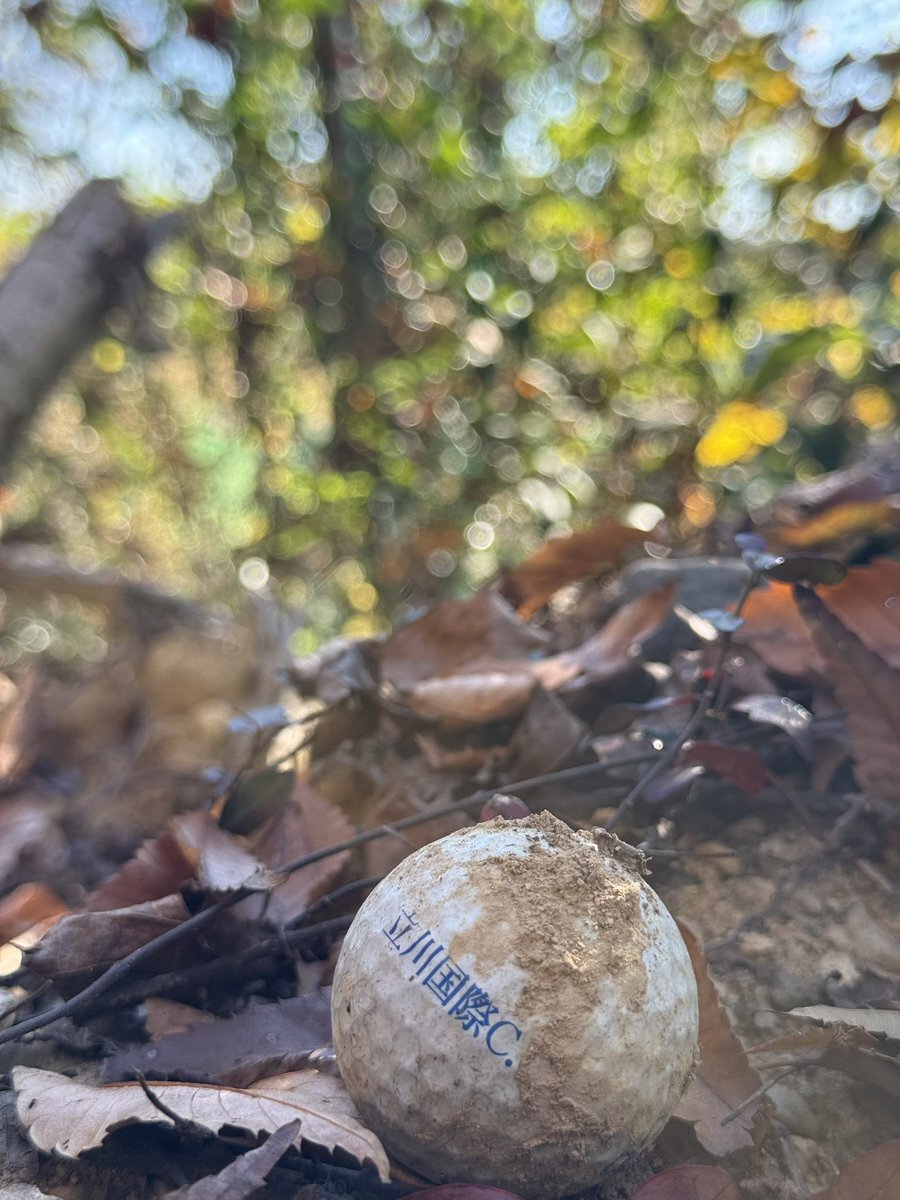 「立川国際」のX（旧Twitter）検索結果 - Yahoo!リアルタイム検索