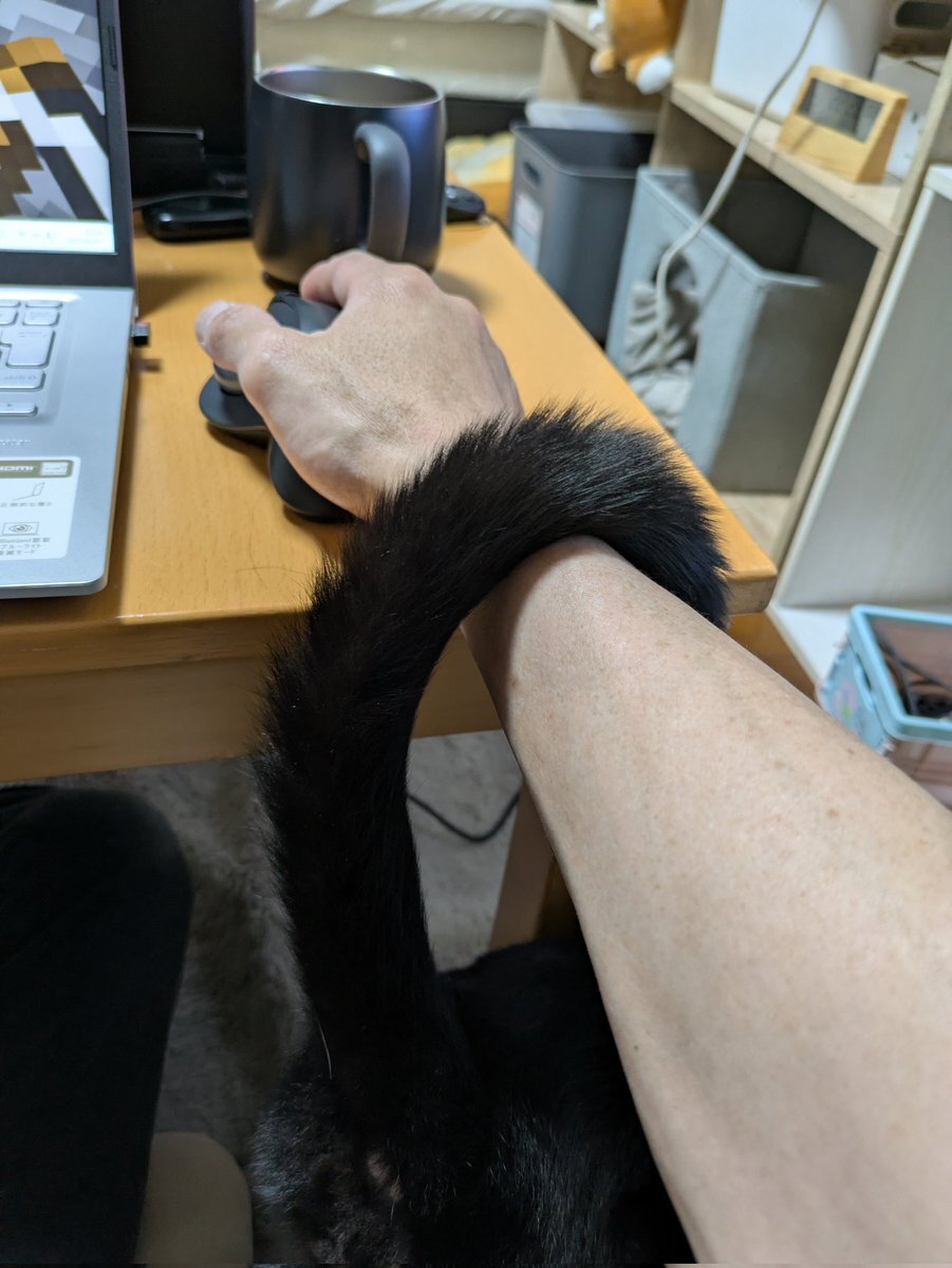 人気ポスト(@monaka_hogoneko) - Yahoo!リアルタイム検索