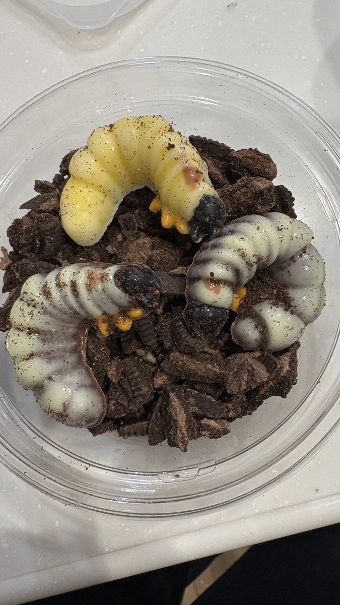 人気ポスト(@hayatan_ch) - Yahoo!リアルタイム検索