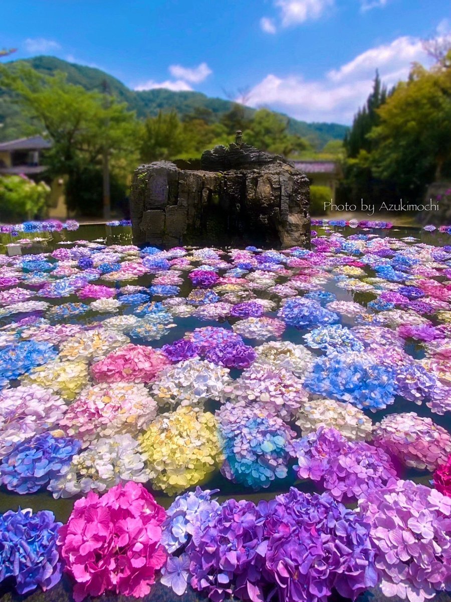 人気ポスト(@azukimochi_room) - Yahoo!リアルタイム検索