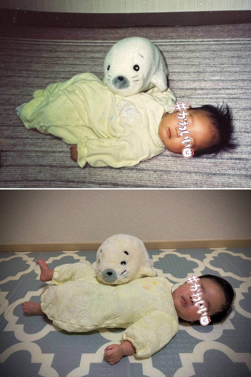 人気ポスト(@oga_otokoshika) - Yahoo!リアルタイム検索