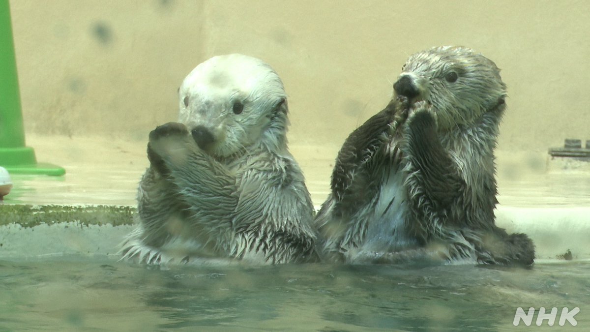 人気ポスト(@NHK_PR) - Yahoo!リアルタイム検索