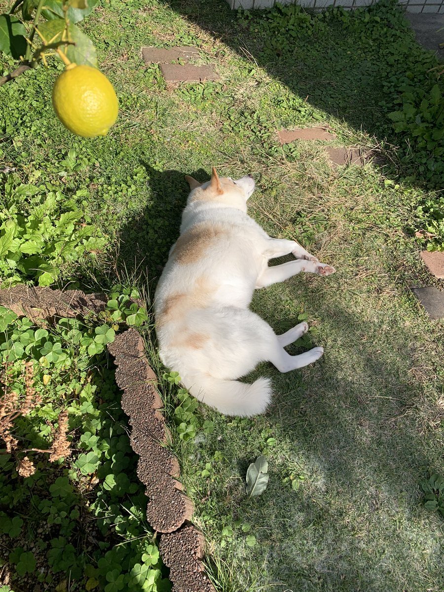 人気ポスト(@sokonron) - Yahoo!リアルタイム検索