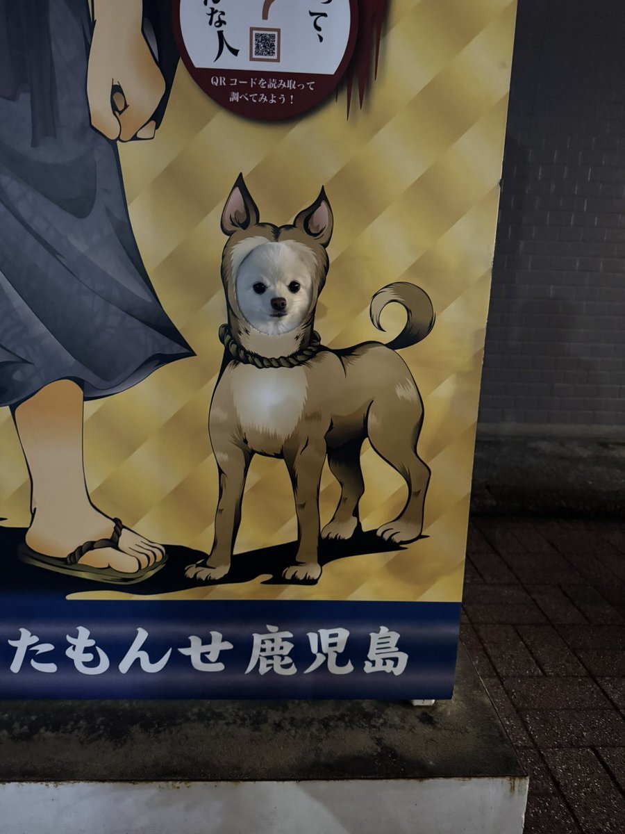 人気ポスト(@0o_sutera_o0) - Yahoo!リアルタイム検索