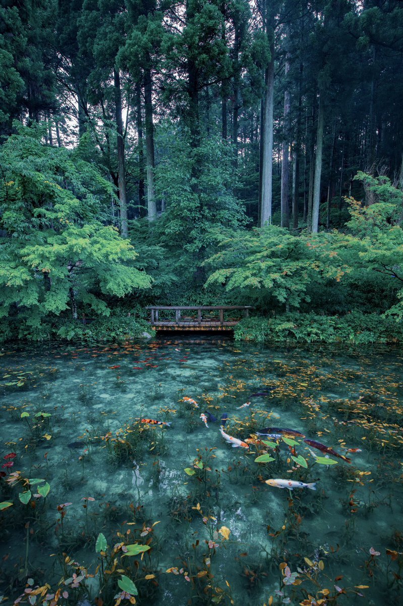 人気ポスト(@auki999) - Yahoo!リアルタイム検索