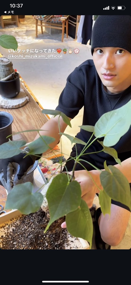 人気ポスト(@cat_koshi) - Yahoo!リアルタイム検索