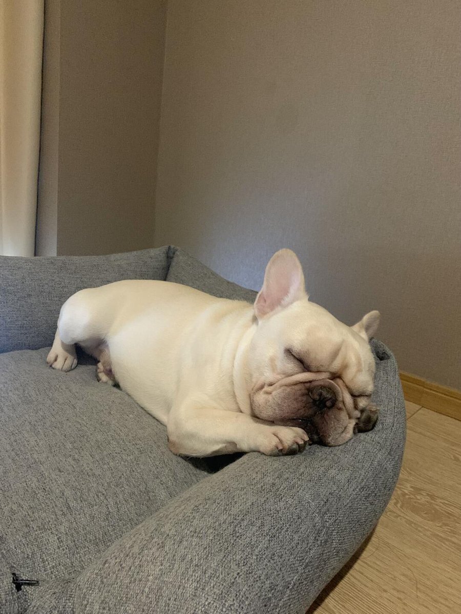 人気ポスト(@riku_o_o_) - Yahoo!リアルタイム検索