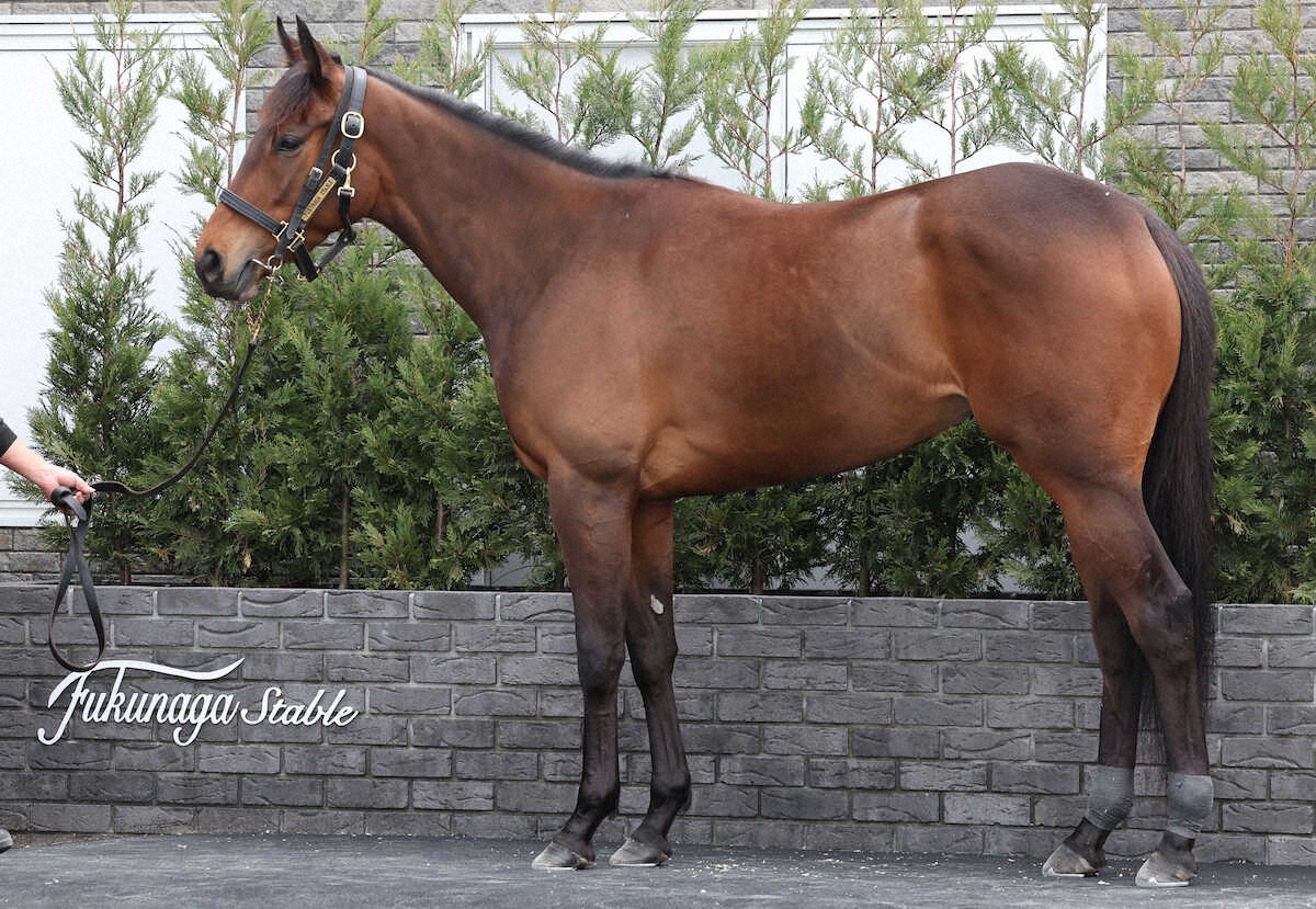 人気ポスト(@winkeiba_dm) - Yahoo!リアルタイム検索