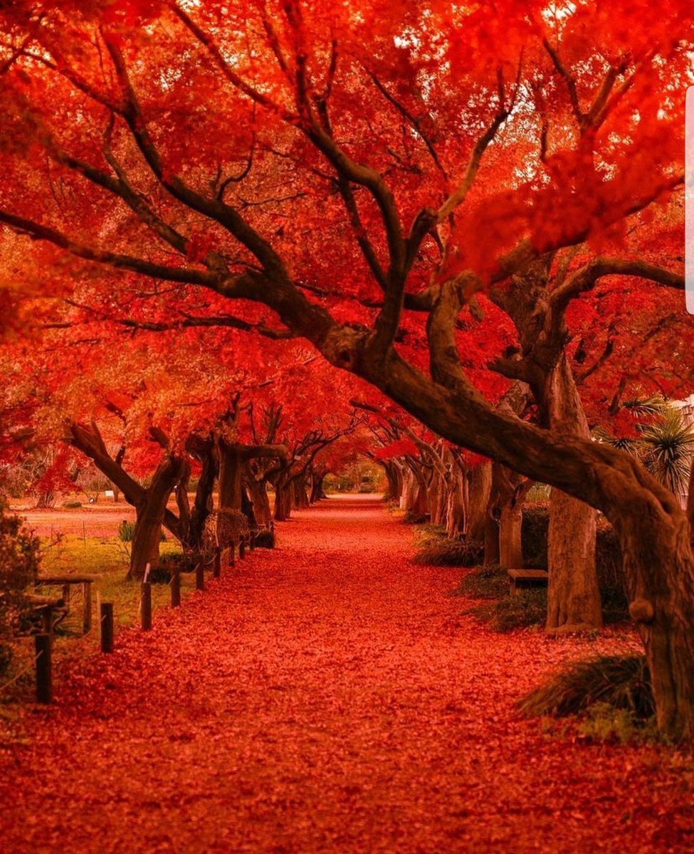 人気ポスト(@zulal0638) - Yahoo!リアルタイム検索