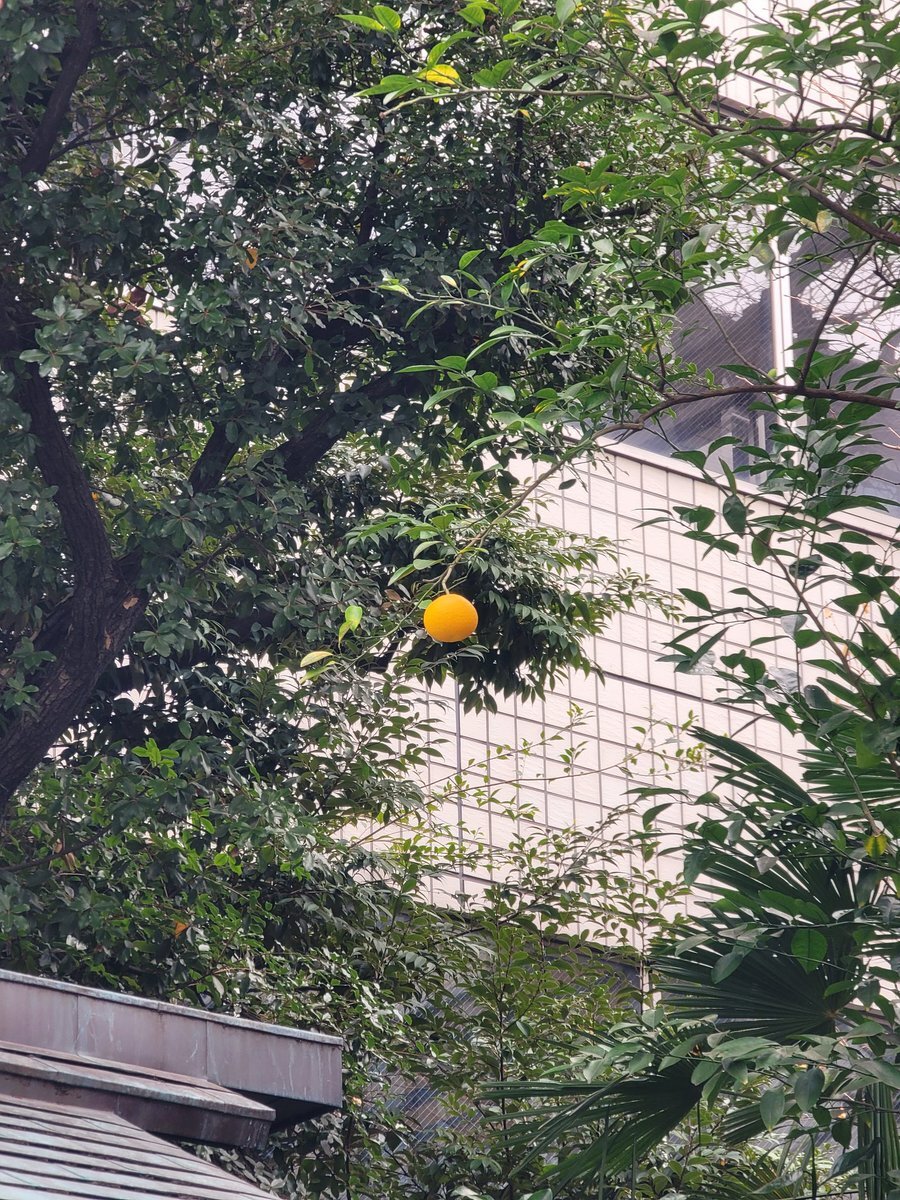 「スクール革命」のX（旧Twitter）検索結果 - Yahoo!リアルタイム検索