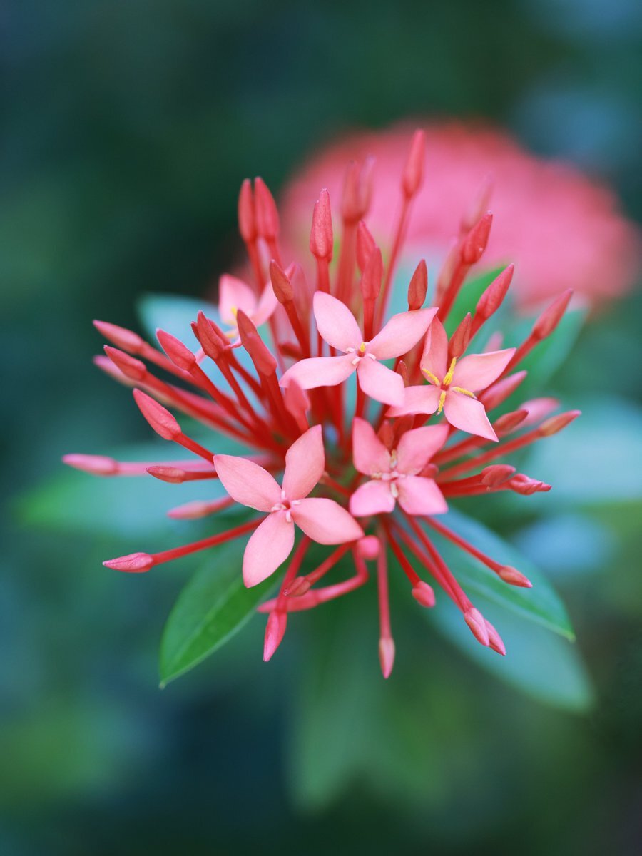 わたなれアニメ最終回！れな子と紫陽花さんの恋はどうなる？(2025/09/23)｜SNSのバズまとめ - Yahoo!リアルタイム検索