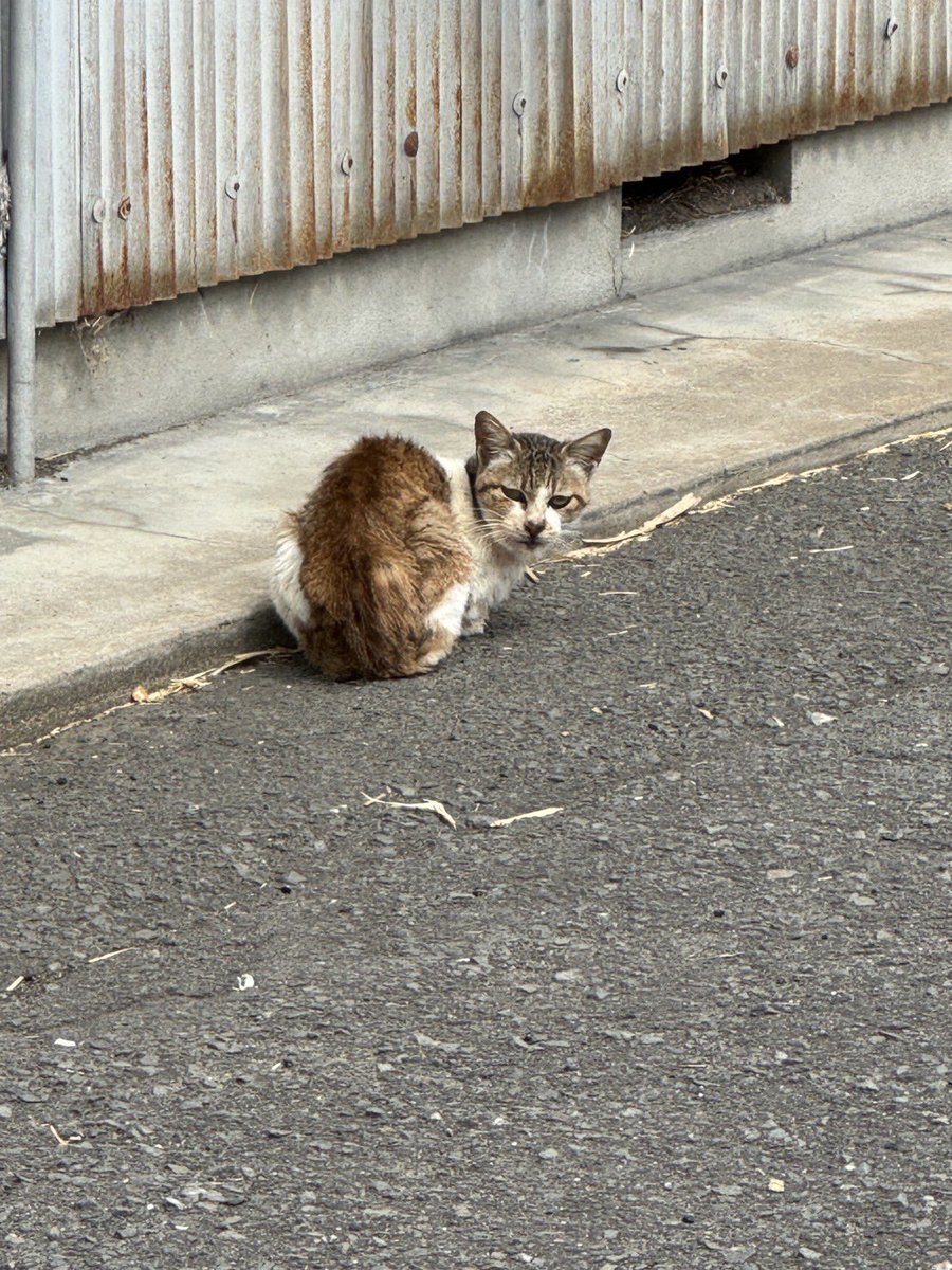 人気ポスト(@hinatabocco_k) - Yahoo!リアルタイム検索