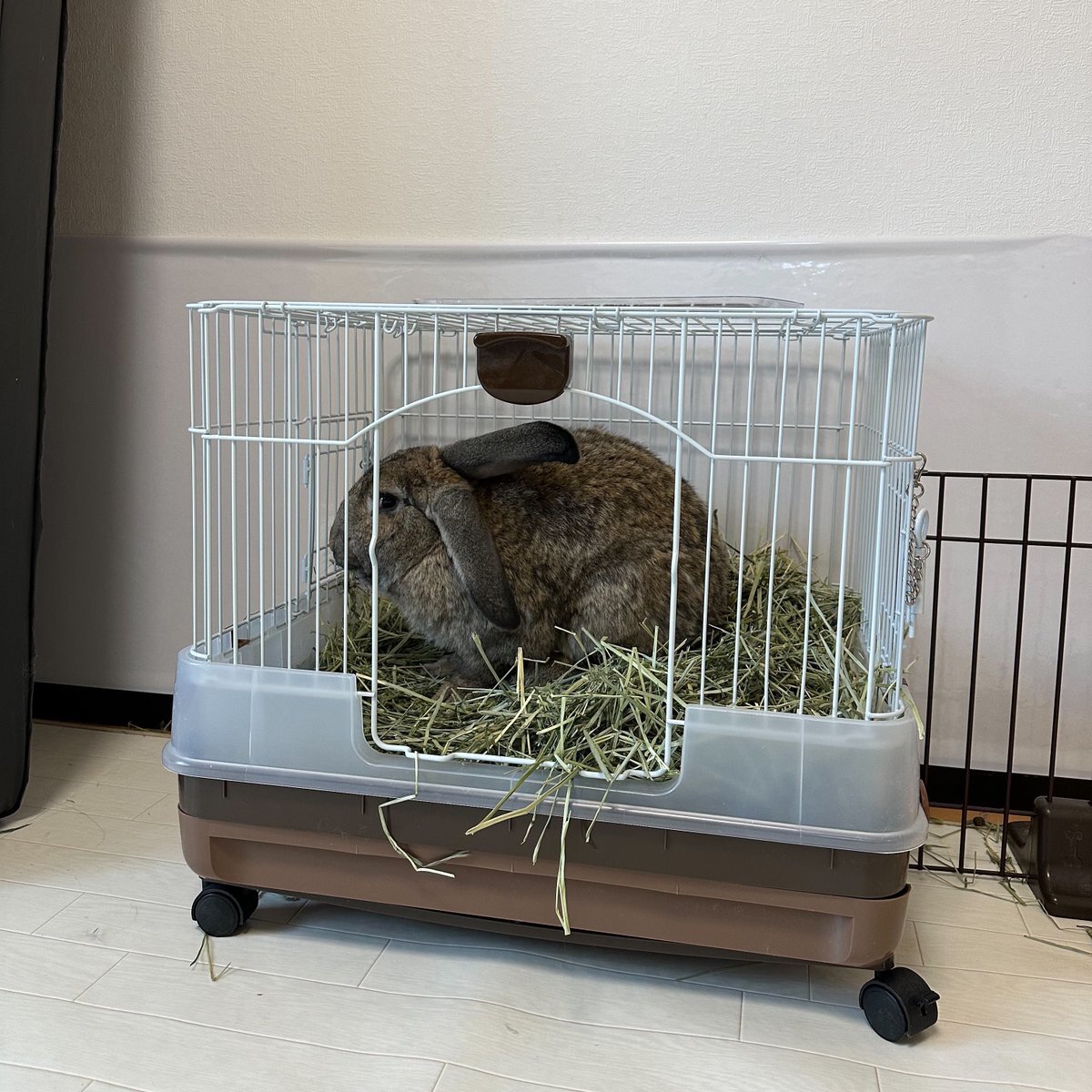 人気ポスト(@rem_0339) - Yahoo!リアルタイム検索