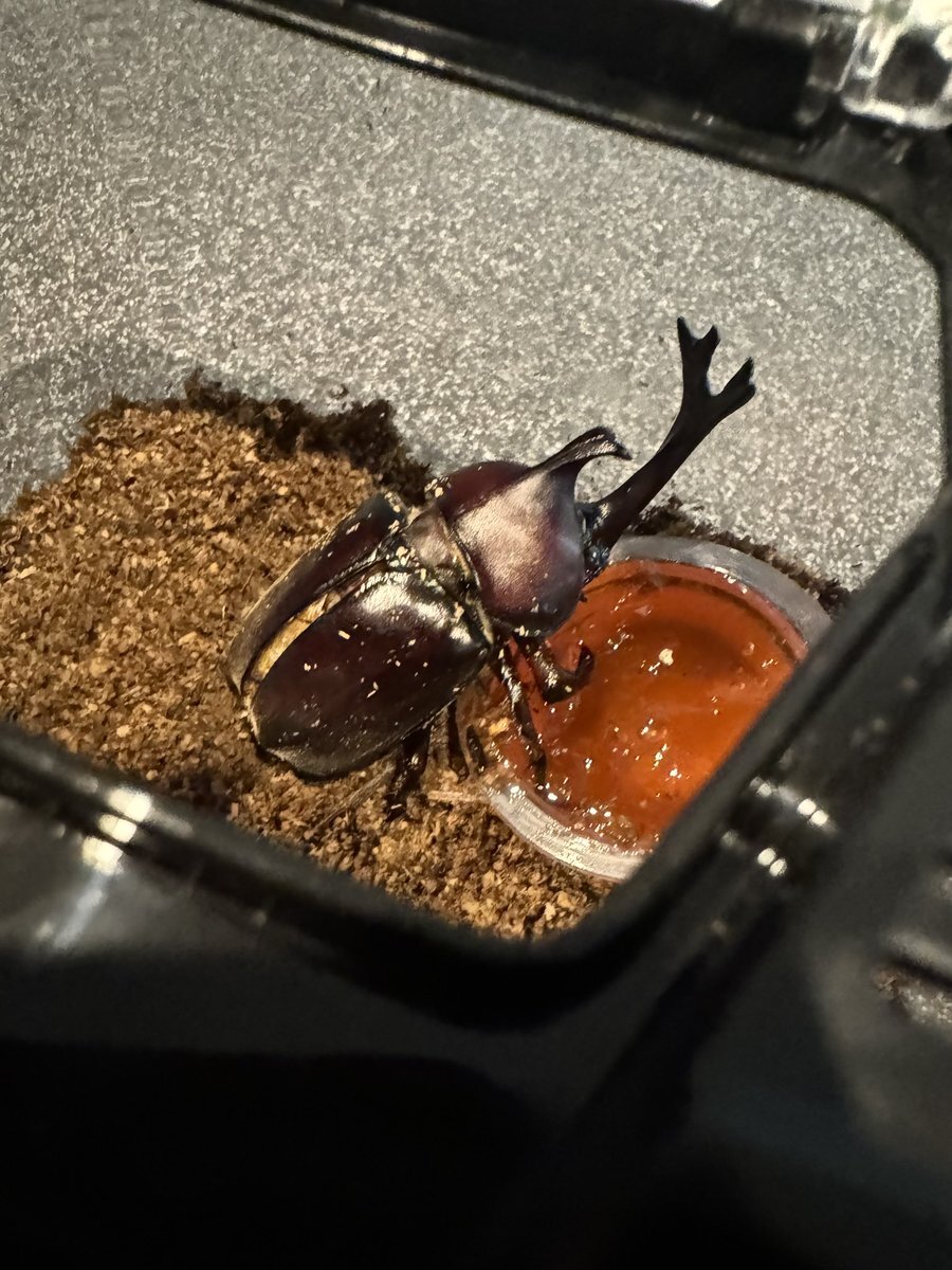 人気ポスト(@T_IWATA_EX_3JSB) - Yahoo!リアルタイム検索