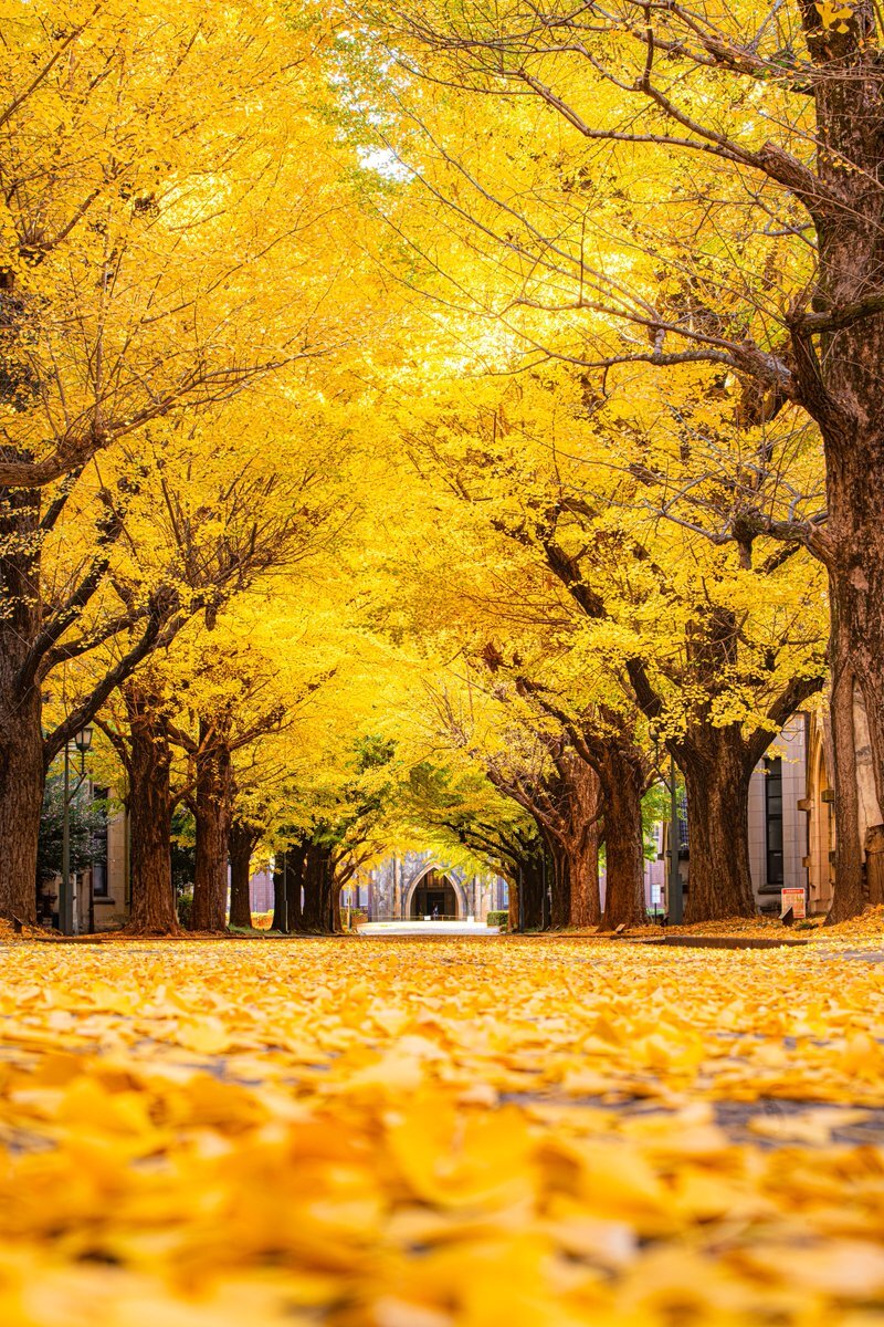 人気ポスト(@haskap1017) - Yahoo!リアルタイム検索