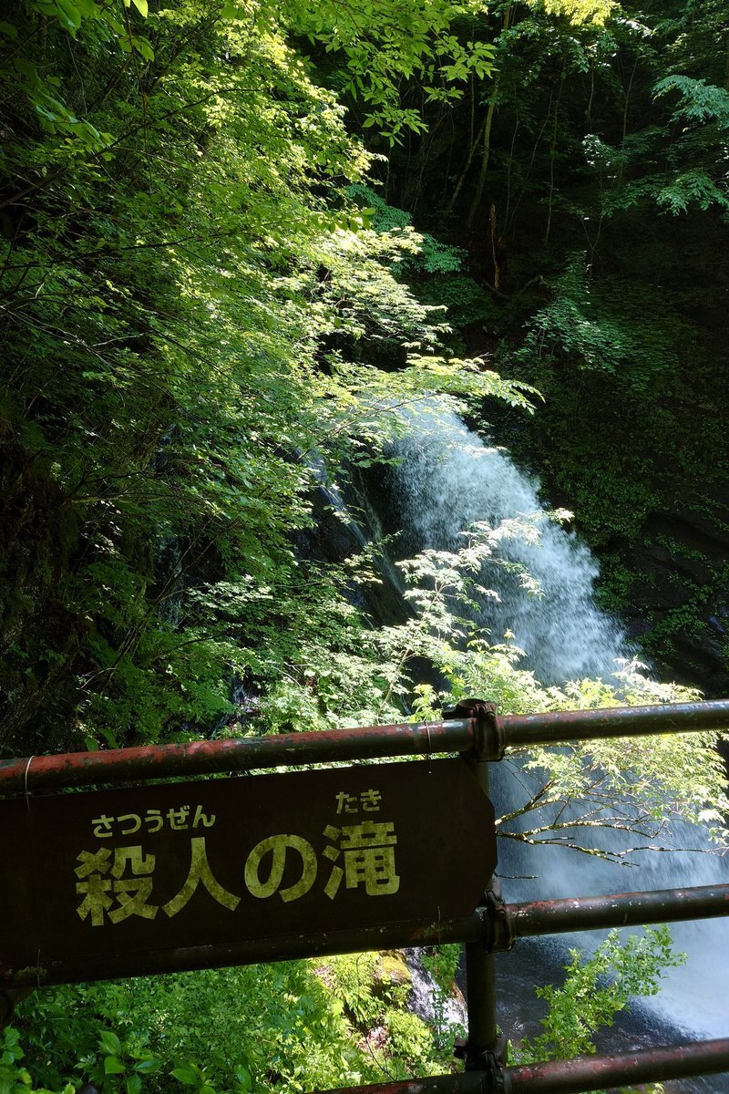 人気ポスト(@yoshika_ch) - Yahoo!リアルタイム検索