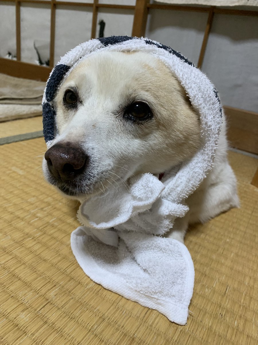 人気ポスト(@sokonron) - Yahoo!リアルタイム検索